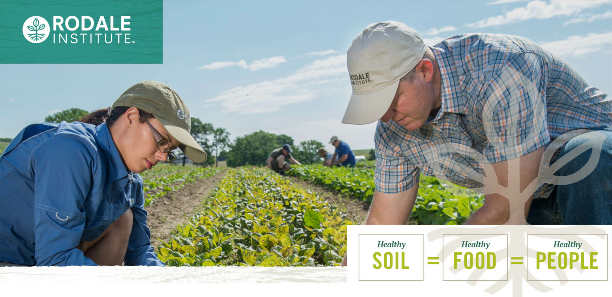 Rodale Institute - Infantree