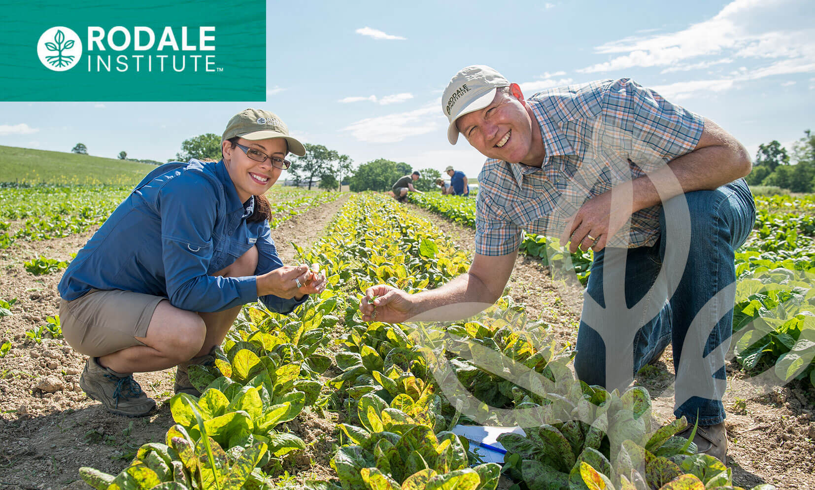 Rodale Institute - Infantree