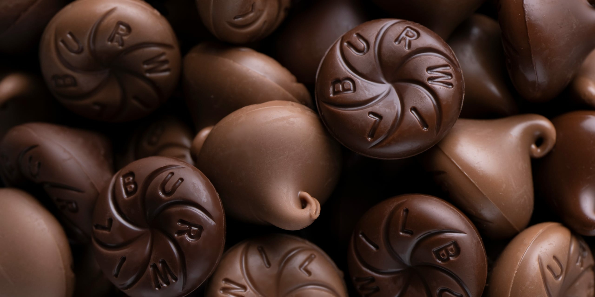 Wilbur Chocolate - Infantree Branding Agency